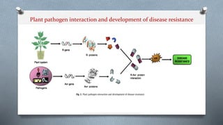 R Gene Expression and Transcription Profiling | PPTX