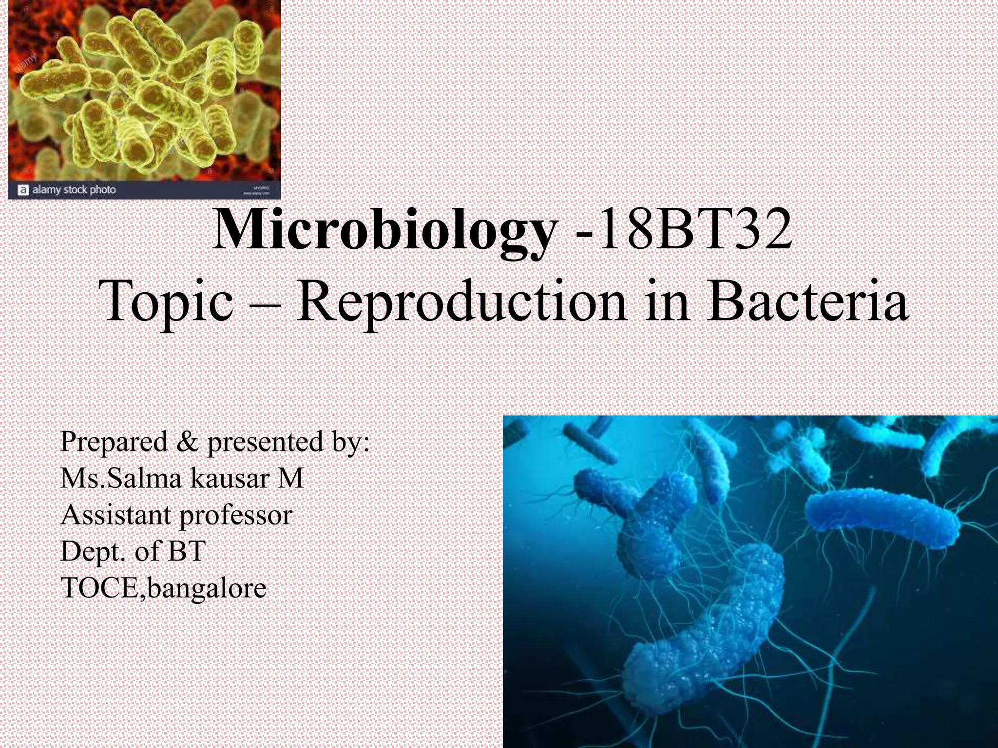 reproduction in bacteria | PPTX
