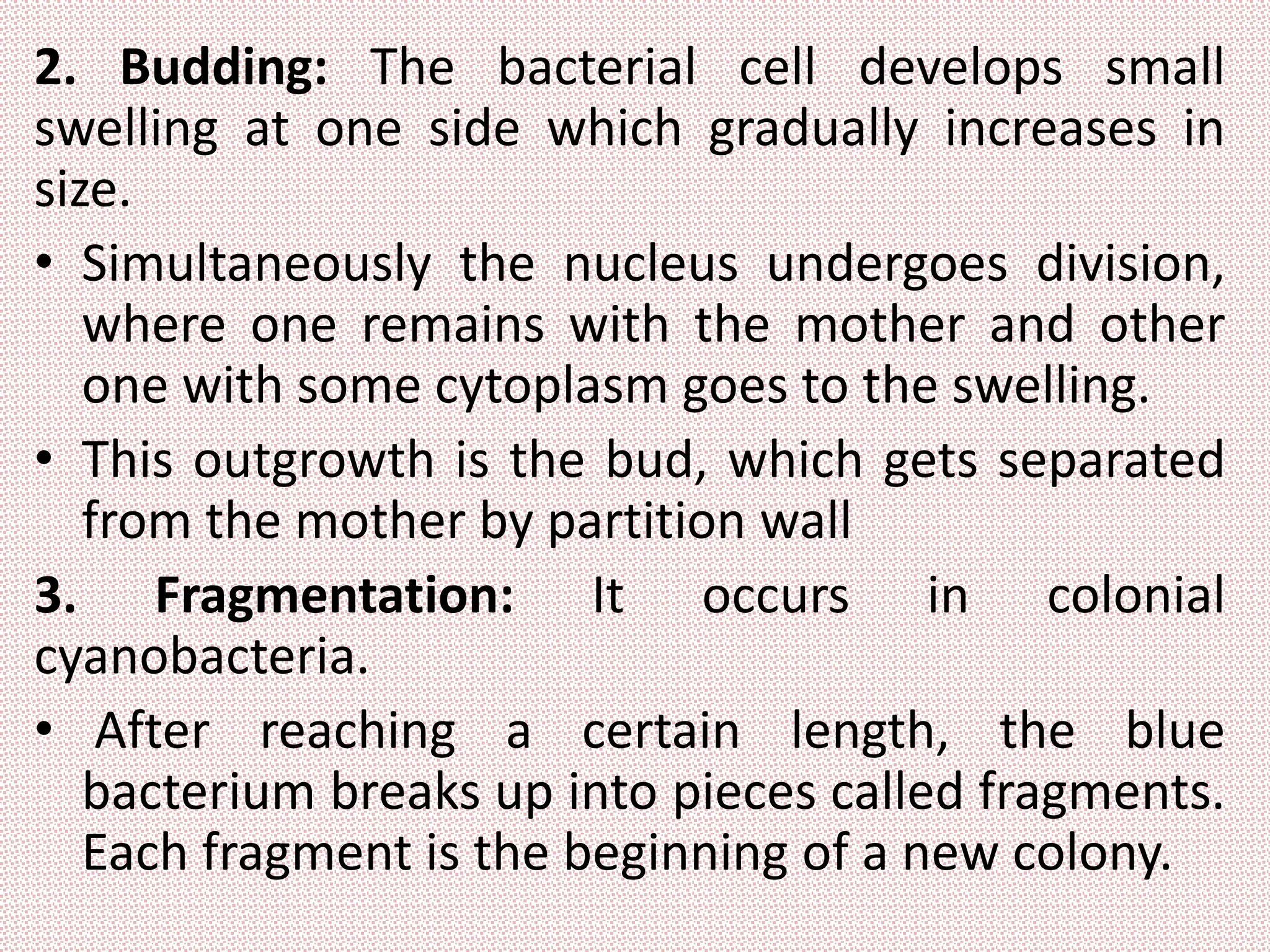 reproduction in bacteria | PPTX