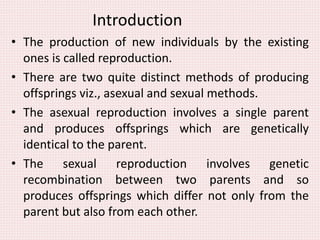 reproduction in bacteria | PPT