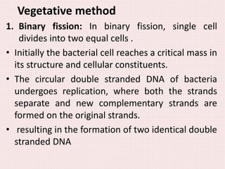 reproduction in bacteria | PPTX