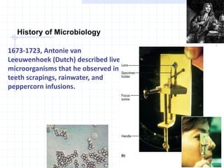 Mbp 01 history microbiology | PPT