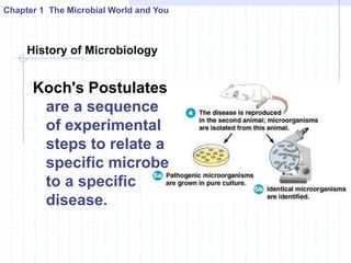 Mbp 01 history microbiology | PPT