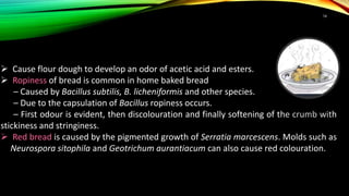 food spoilage.pptx
