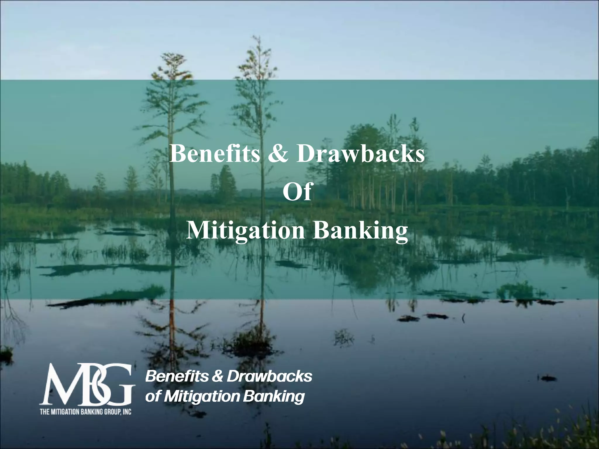 Wetland Mitigation Banking Clean Water Act Section 404 | PPT