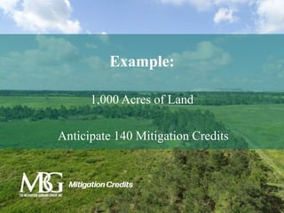 Wetland Mitigation Banking Clean Water Act Section 404 | PPT