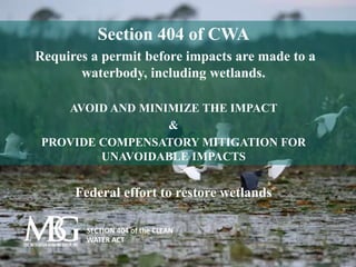 Wetland Mitigation Banking Clean Water Act Section 404 | PPT