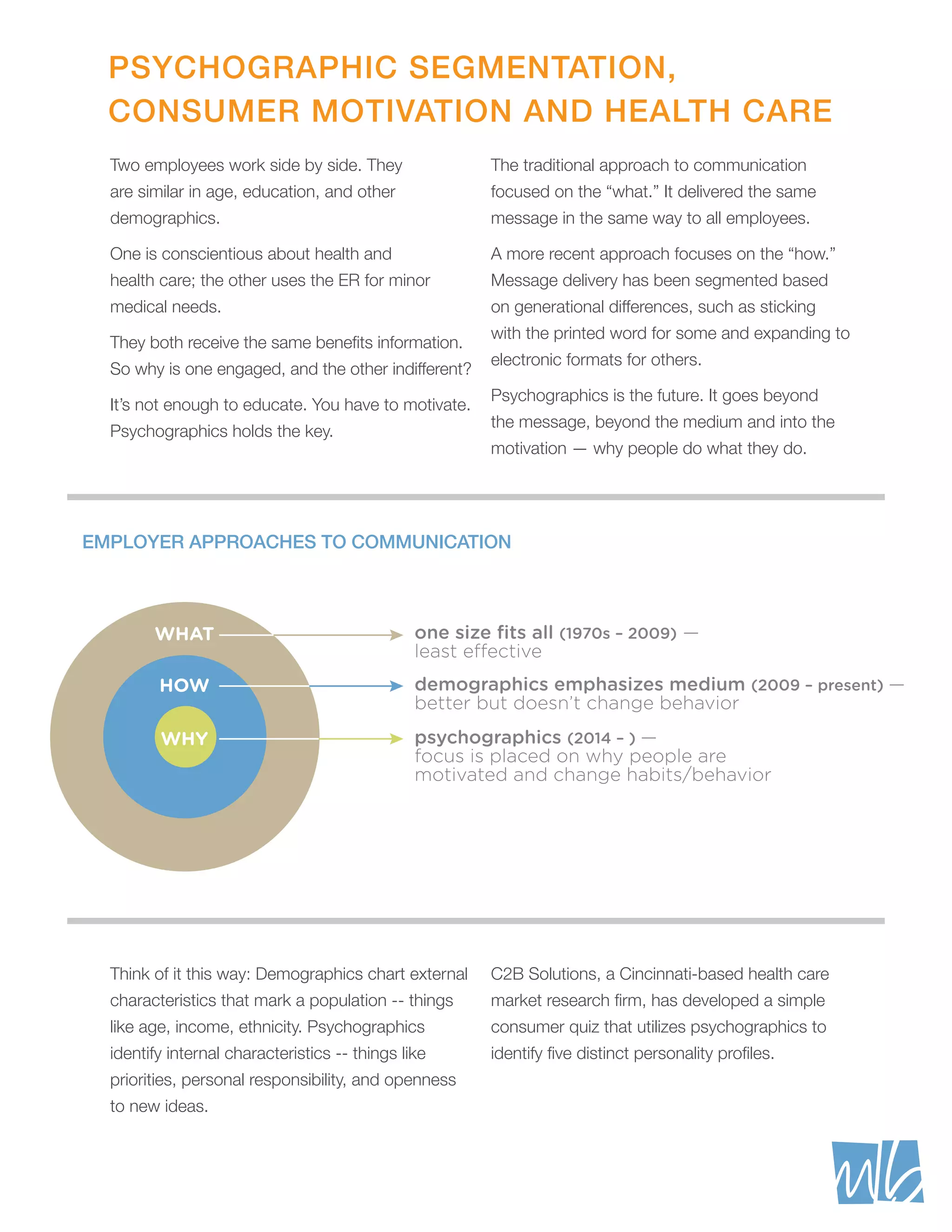 Psychographic Segmentation | Consumer Motivation and Health Care | PDF