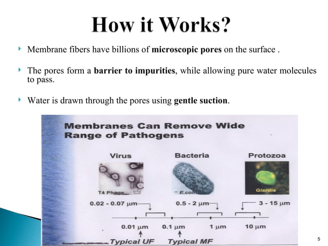 Membrane Bioreactor Technology - An Overview | PPT
