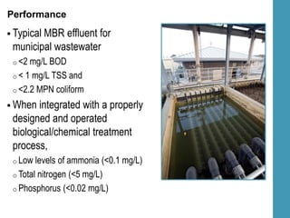 Mbr.survey.presentation.pncwa,2019 | PPT