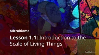 MB_Resource_Classroom_Slides_Lesson_1-1.pptx