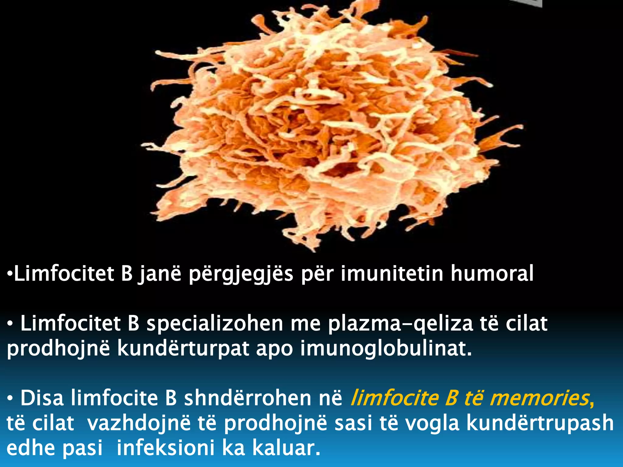 Mbrojtja specifike | PPSX