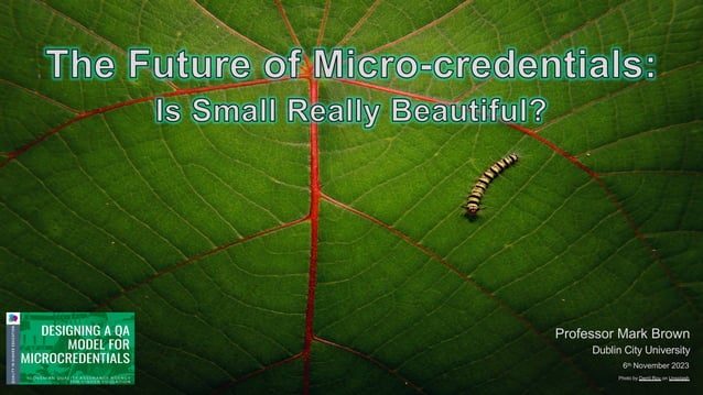 The Future of Micro-credentials: Is Small Really Beautiful? | PPT