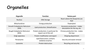 CELL BIOLOGY 1. CELL THEORY LEC_0001.pdf
