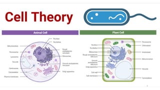 CELL BIOLOGY 1. CELL THEORY LEC_0001.pdf
