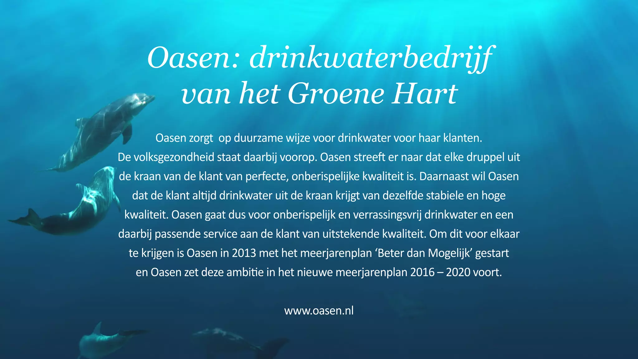 Risk Management Learnings #1 Oasen Drinkwater | PDF