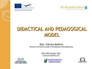 Mbs csfvm didactical_model | PPT