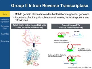 High-throughput RNA sequencing with Thermostable Group II Intron Reverse Transcriptase | PDF