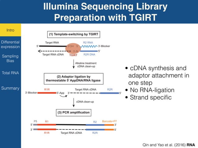 High-throughput RNA sequencing with Thermostable Group II Intron Reverse Transcriptase | PDF ...