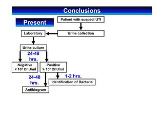 Mbs uti presentation | PDF