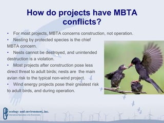 Complying with MBTA | PPT