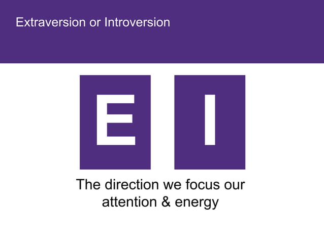 Understanding Team Dynamics using MBTI | PDF | Science
