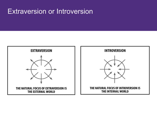 Understanding Team Dynamics using MBTI | PDF | Science