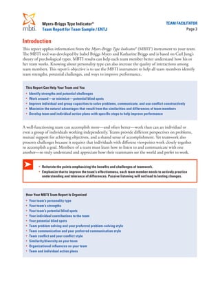 Mbti team facilitator report | PDF