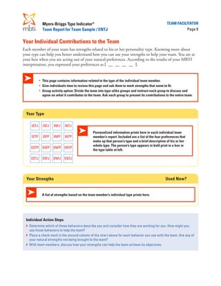 Mbti team facilitator report | PDF