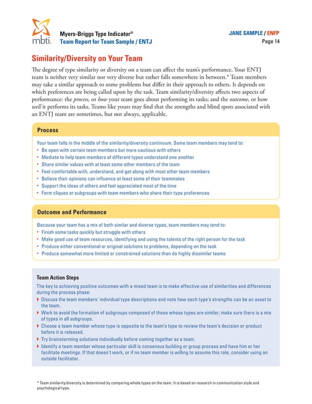 MBTI Team Report | PDF