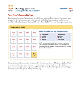 MBTI® Team Report - Sample | PDF
