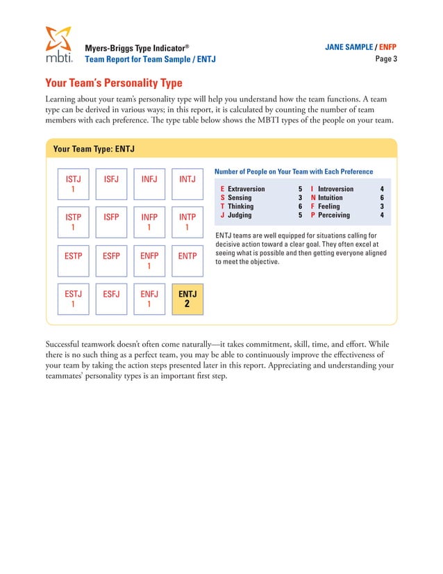 MBTI® Team Report - Sample | PDF