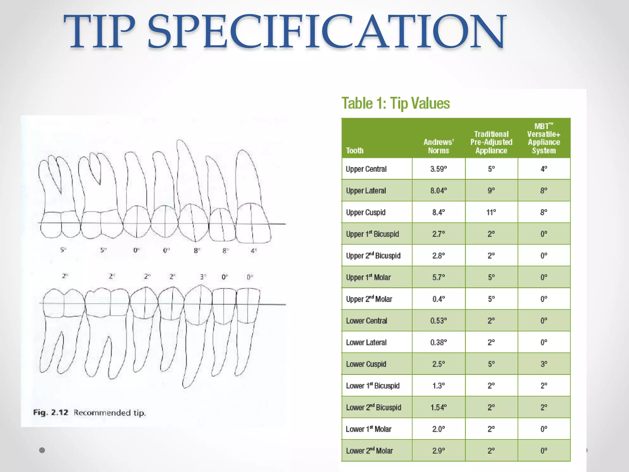 Mbt technique part | PPTX | Dental Health | Diseases and Conditions