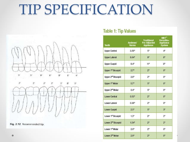 Mbt technique part | PPTX | Dental Health | Diseases and Conditions