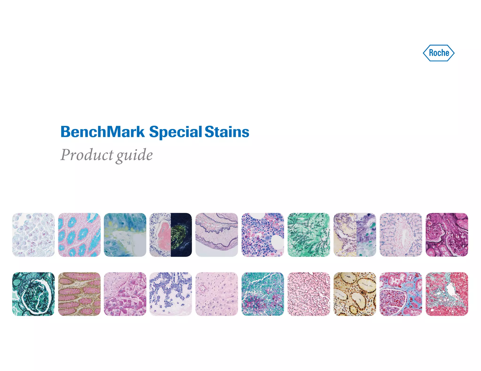BenchMark Special Stains Product Guide | PDF
