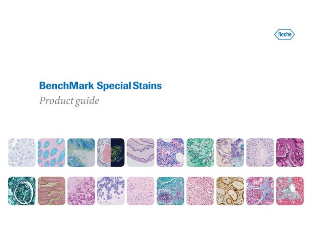BenchMark Special Stains Product Guide | PDF