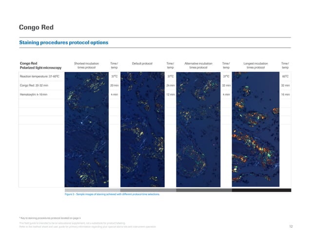 BenchMark Special Stains Product Guide | PDF
