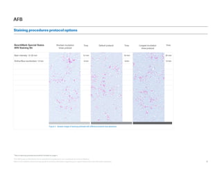 BenchMark Special Stains Product Guide | PDF
