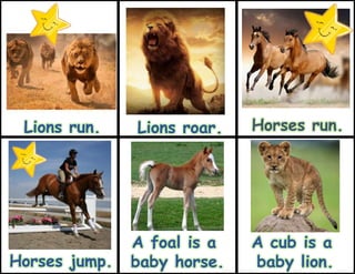 MC-L2-U10-LC2-9 Lesson 9 Animals grow and change 9 flashcards | PPT