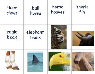 MC-L3-U12-LC1-4 Lesson 4 Brazil 4 memory | PPTX