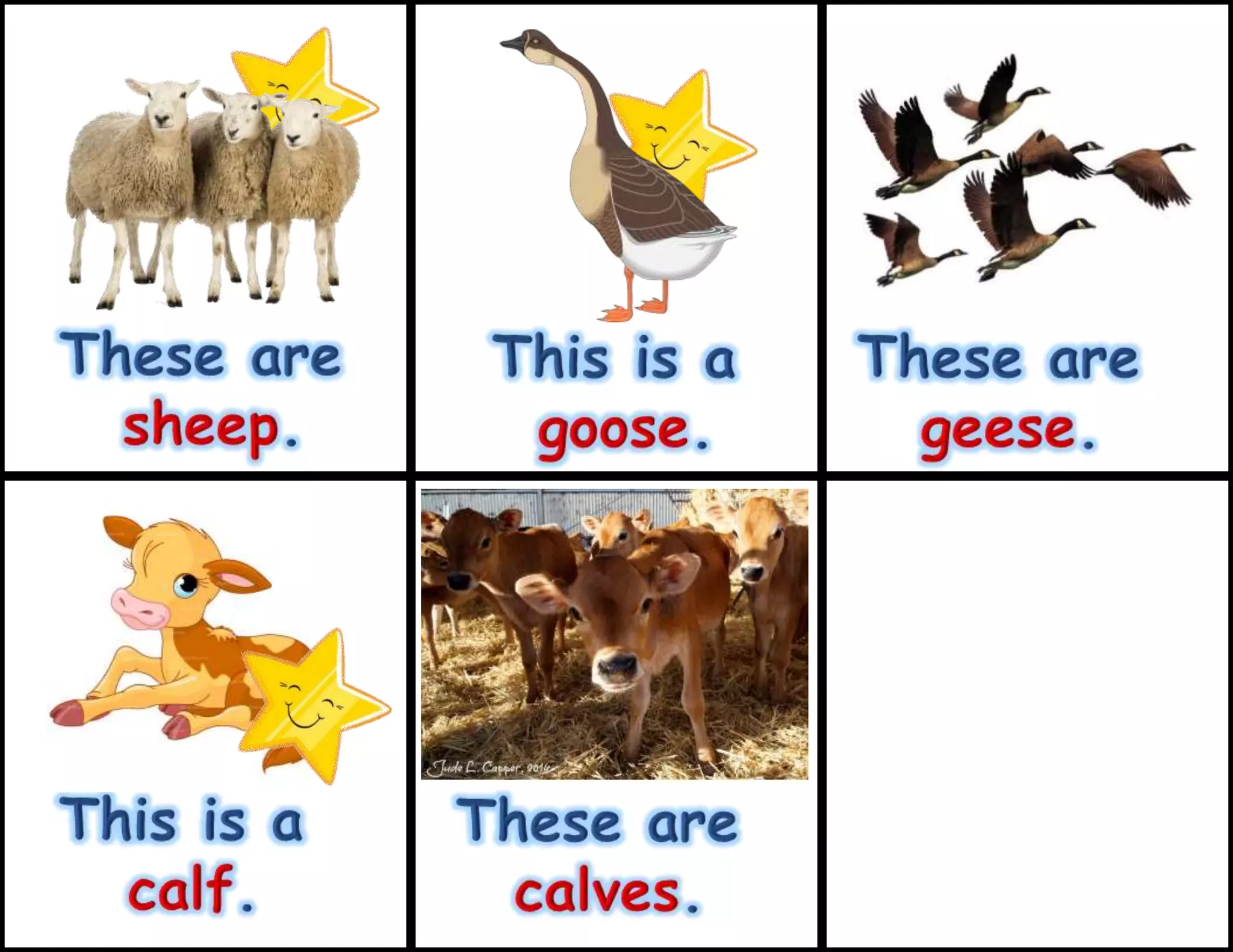 MC-L3-U3-LC1-5 Lesson 5 My Body Parts 5 flashcards | PPT