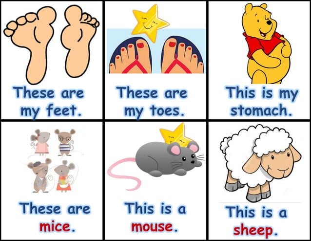 MC-L3-U3-LC1-5 Lesson 5 My Body Parts 5 flashcards | PPT