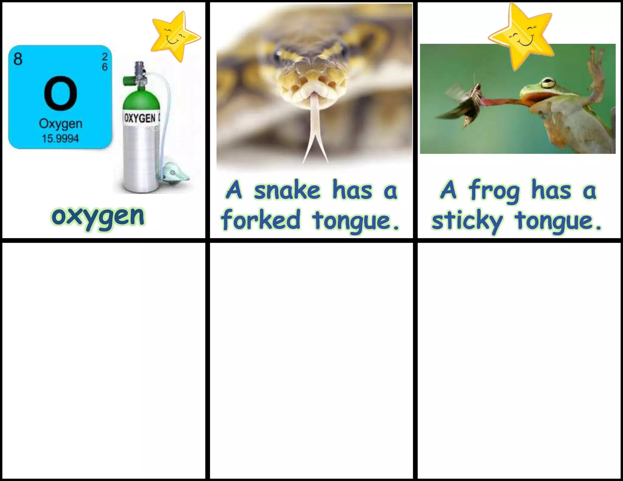 MC-L3-U5-LC2-11 Lesson 11 Fish, Reptiles 11 flashcards | PPT