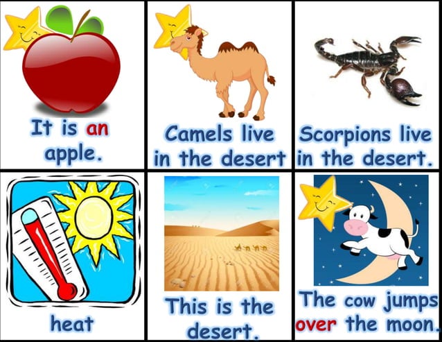 MC-L4-U2-LC1-5Lesson 5 Land Animals 5 flashcards | PPT