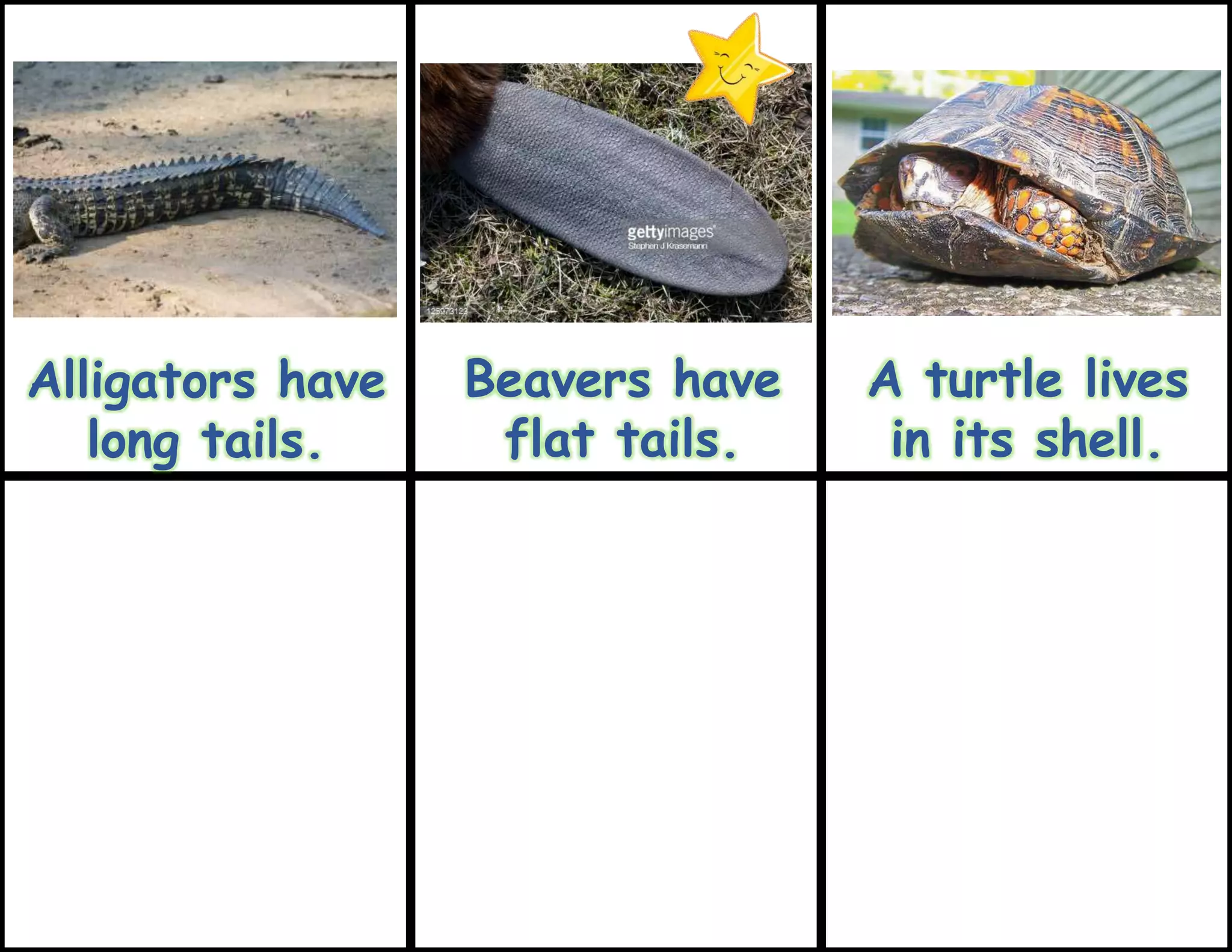 MC-L4-U2-LC2-9Lesson 9 Aquatic Semi-aquatic Animals 9 flashcards | PPTX