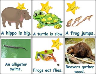 MC-L4-U2-LC2-9Lesson 9 Aquatic Semi-aquatic Animals 9 flashcards | PPT