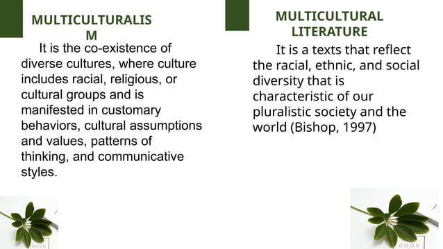 MC-Lit-137373783838383884663.-Report.pptx