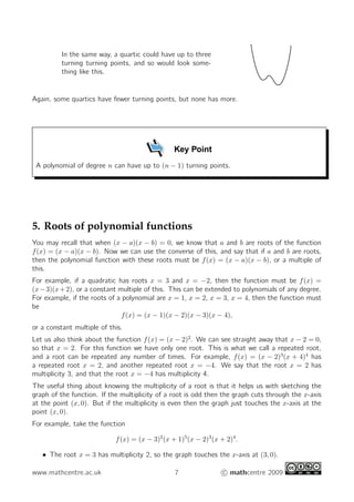 mc-ty-polynomial-2009-1.pdf