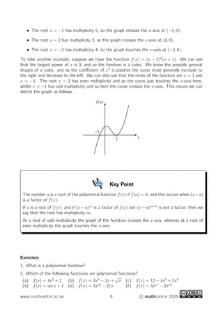 mc-ty-polynomial-2009-1.pdf