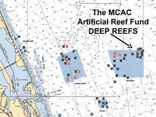 Artificial Reef Presentation | PPT